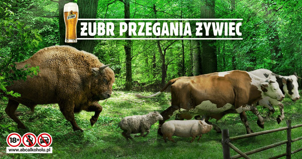 Żubr w nowej reklamie troskliwie i stanowczo przegania żywiec z puszczy | Donald.pl